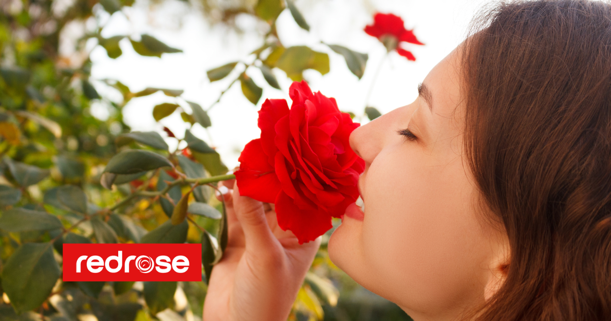 Stop and Smell the Roses: 9 Ways the 5 Senses Can Help Sell Your Home ...